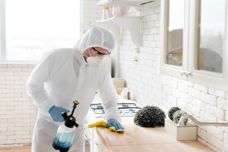 Landlord's Guide to Health Code Violations for Rental Properties